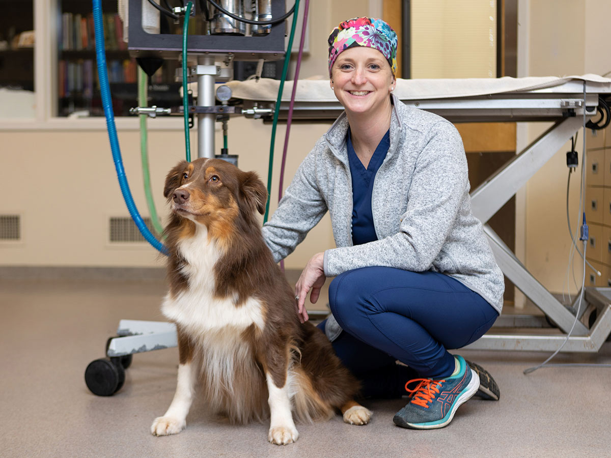 Central Maryland Mobile Veterinary Surgical Services | AVS