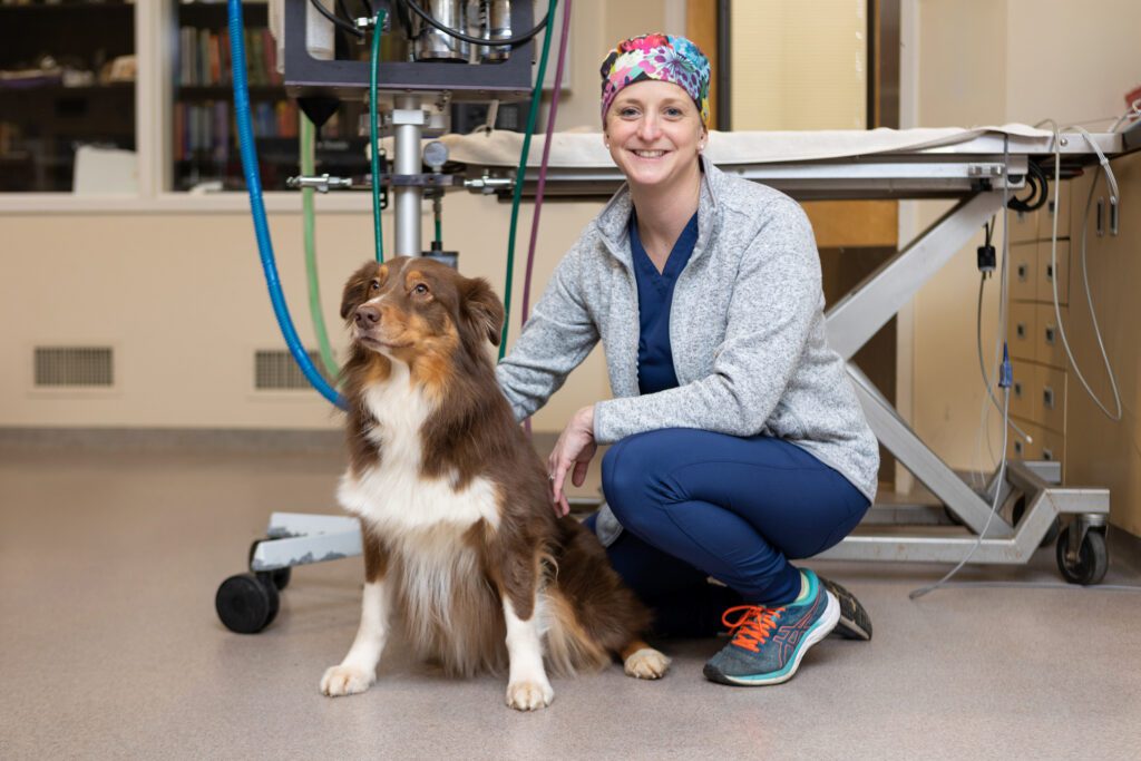 Best Mobile Vet Surgeon In Central Maryland And Beyond
